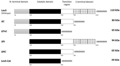 Microorganisms Special Issue Functional Microbial Diversity For Biotechnology