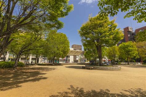 中央町第4公園 埼玉県で暮らそう