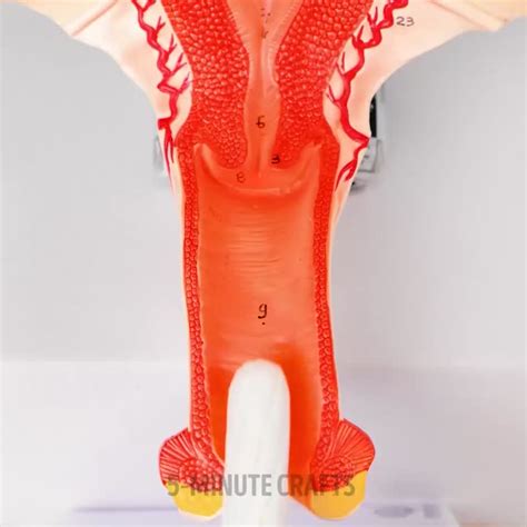 Md Samiul Islam On Linkedin Practical Ideas On How To Deal With Unusual Situation Video Credit