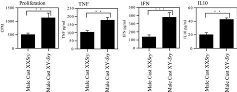 Effect Of Sex Chromosome Complement On Mbp Specific Immune Responses In Download Scientific