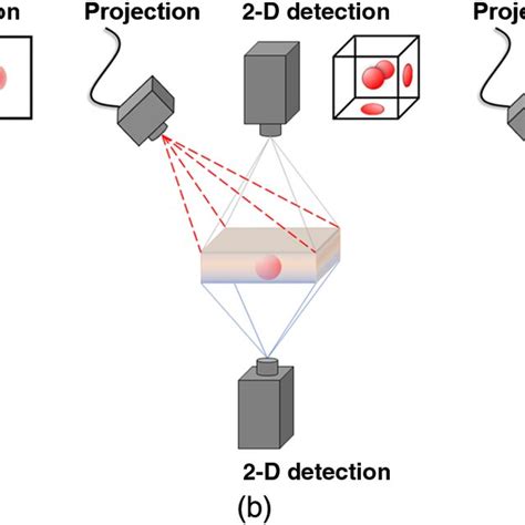 Pdf Review Of Structured Light In Diffuse Optical Imaging