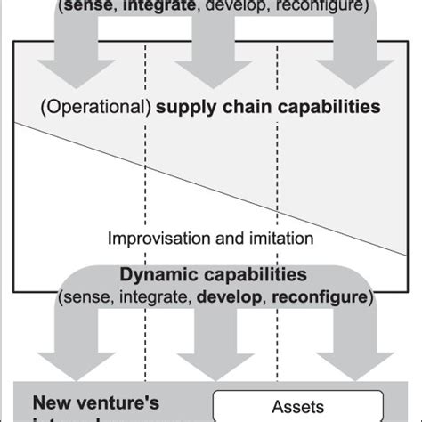 Conceptual Framework Model Of Capability Development Download