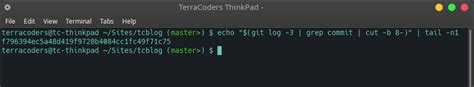 Bash A Simple Script For Automating Git Reset The First Byte