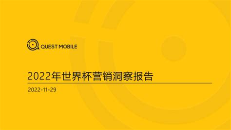 2022年世界杯营销洞察报告 Cbndata