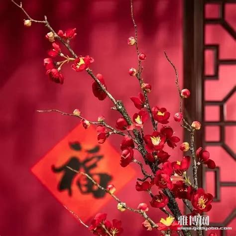 基督教福音网 福音问答 福音宣教 雅博网
