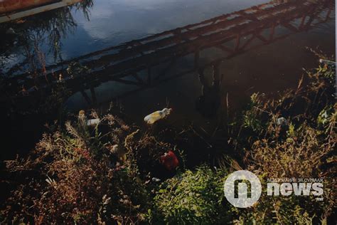 Хөрс ба амьдрал News Mn