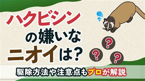 ハクビシンの嫌いなニオイは？駆除方法や注意点もプロが解説｜害獣buzz 協会加盟店and長期保証で安心の専門業者