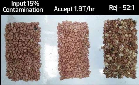 Semi Automatic Powder Coated Peanut Color Sorting Machine Single Phase At ₹ 2100000 In Coimbatore