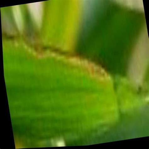 1 Object Detection Dataset V2 2024 11 01 12 28pm By 11111