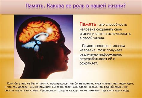 Картинки по теме память