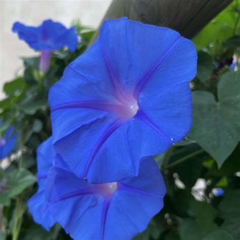 Stream Sexy Bitch Krunk Remix Wav By Roy Listen Online For Free On Soundcloud