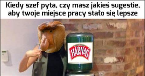 Kiedy Szef Pyta Czy Masz Jakieś Sugestie Aby Twoje Miejsce Pracy