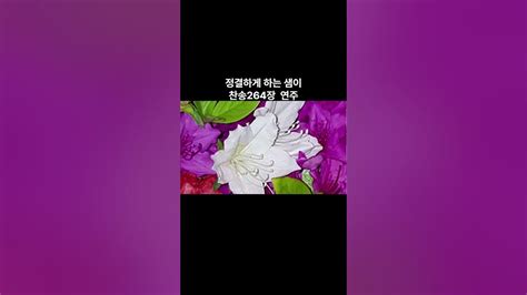 정결하게 하는 샘이찬송264장 연주 Youtube