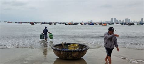 베트남 다낭에서의 새우잡이 코코넛 배와 고양이 사진 모음 영상