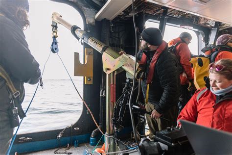 Subc Imaging Marks 15 Years From Startup To Industry Leader — Subc Imaging