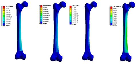 Bioengineering Free Full Text Retrospective Evaluation And Framework Development Of Bone