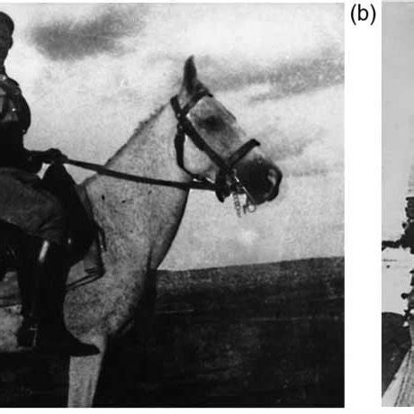 PDF Seeing The Image Of An Eritrean Hero