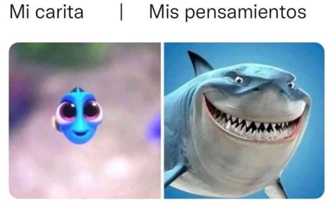 Memes De America Tiburones Tiburón No Le Suelta Su Presa A Pescadores