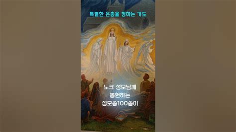 노크 성모님 함께 기도해요 9일ㅣ침묵 속에서 평화와 희망을 전하신 어머니ㅣ성모송100송이ㅣ특별한 은총을 청하는 기도ㅣ침묵ㅣ마음의 평화 품격있는삶 기도 세레나의치유