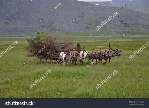 Komi Permian People Images Stock Photos Vectors Shutterstock