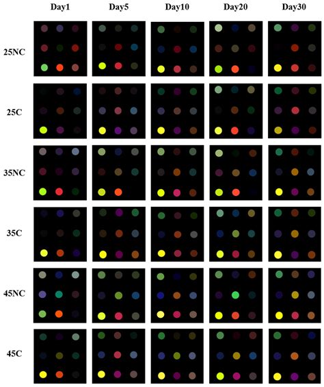 Preparation Of Colorimetric Sensor Array System To Evaluate The Effects Of Alginate Edible