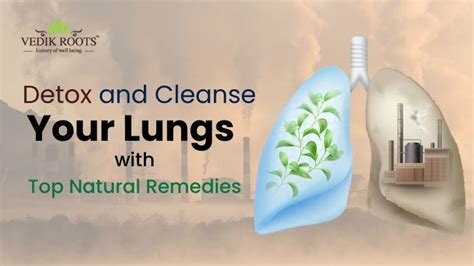Effective Natural Ways To Clean Your Lungs Vedikroots