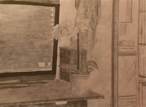 Orchids By Entangled Logic On Deviantart