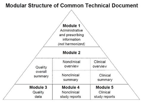 Figure 1 From Between Standardisation And Flexibility Defining Granularity Of The Ectd Module