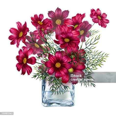 빨간색과 보라색 코스모스 꽃 꽃다발이 있는 투명한 빈티지 유리 꽃병 증류주 향수 오일 액체 아로마 테라피 음료 알코올 연금술 마술의 디자인 템플릿에 대한 수채화 그림 0명에