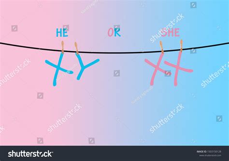 25 Baby Gender X Y Images Stock Photos Vectors Shutterstock