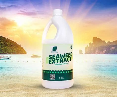 Seaweed Extract Fertilizers At Rs 700unit Bio Fertilizer In Pimpri