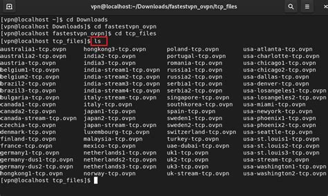 How To Setup Openvpn On Red Hat Linux Fastestvpn Support