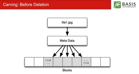 Digital Forensics Examiner Digital Forensics File Carving