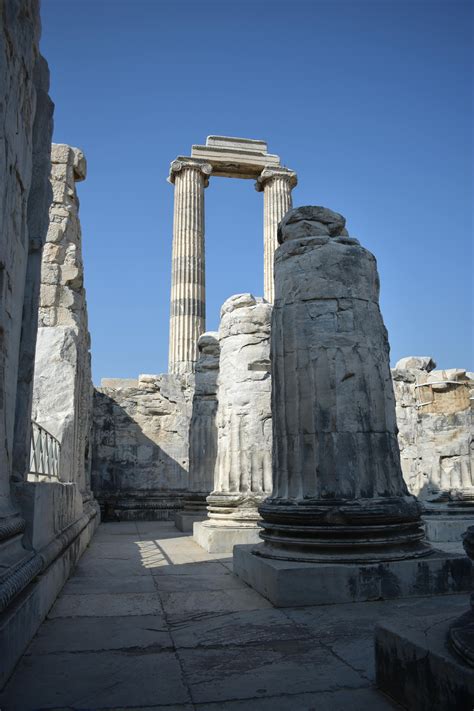 Delphi 5 In 2025 The Annotated Edition Is Complete Why It Still Matters