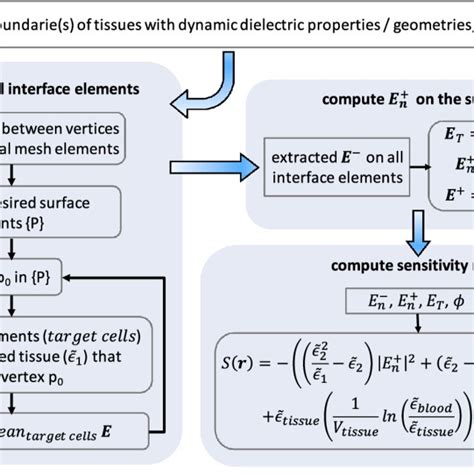 Schematic Description Of The Pipeline Used To Process The Imaging Based