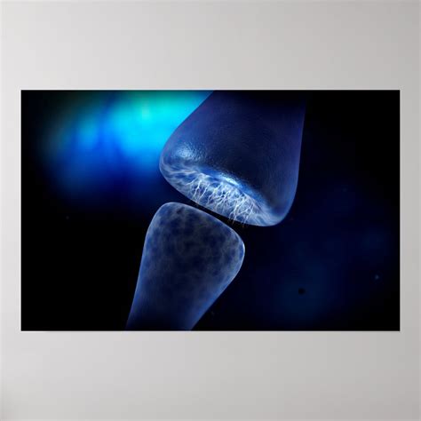 Conceptual Image Of Synapse Of Neuron Inside Poster Zazzle
