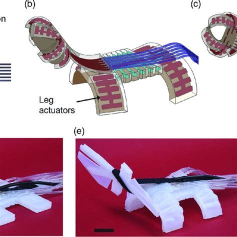 Images Of The Robot A Top View Of The CAD Model B Side View Of The Download Scientific
