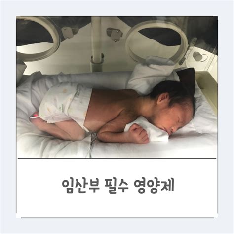 임신 전부터 출산 후까지 임산부 필수 영양제 5가지 영양제를 섭취 이유영양제 고르는 법시기별 영양제 네이버 블로그