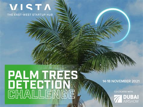 Vistax Dubai Airshow The Palm Tree Challenge With Mbrsc And Aws Magnitt