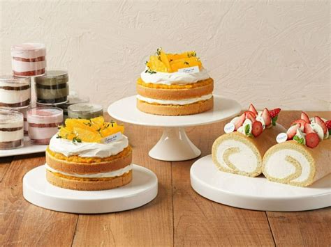 케이크 분야를 가장 재밌게 시작하는 방법 Class101 세상의 모든 클래스