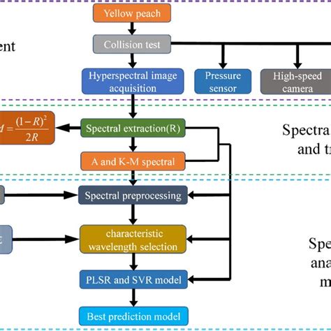 Processing Methods Of The Spectral Data R Reflectance A Download Scientific Diagram