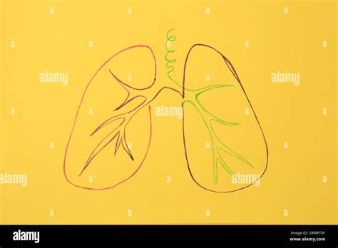 Human Lungs Drawn In Different Colors On Yellow Background Top View