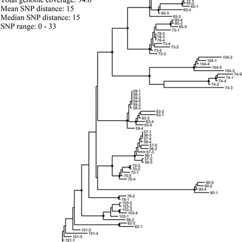 Maximum Likelihood Core Genome Tree Visualizing The Genetic Relations