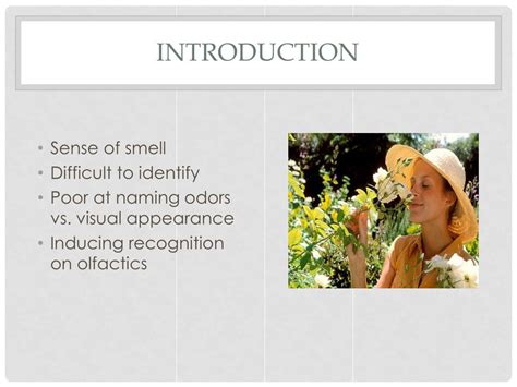 Ppt Olfactics Powerpoint Presentation Free Download Id1980422