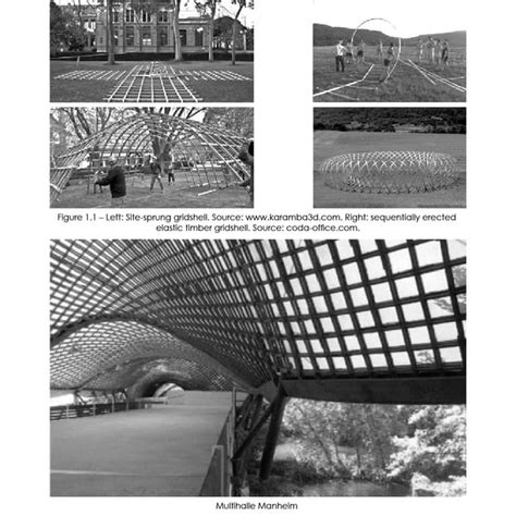 Elastic Timber Gridshell Rrhinograsshopper