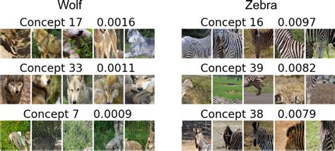 Figure 1 From On Completeness Aware Concept Based Explanations In Deep Neural Networks