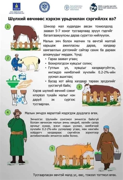 Малын Шүлхий өвчнөөс урьдчилан сэргийлье