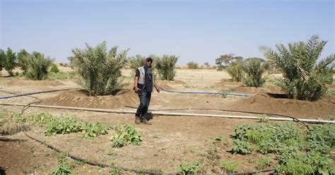 Eritreas Plan For Its Agriculture Industry Madote