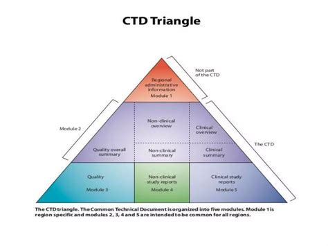 Common Technical Document Format Pptx